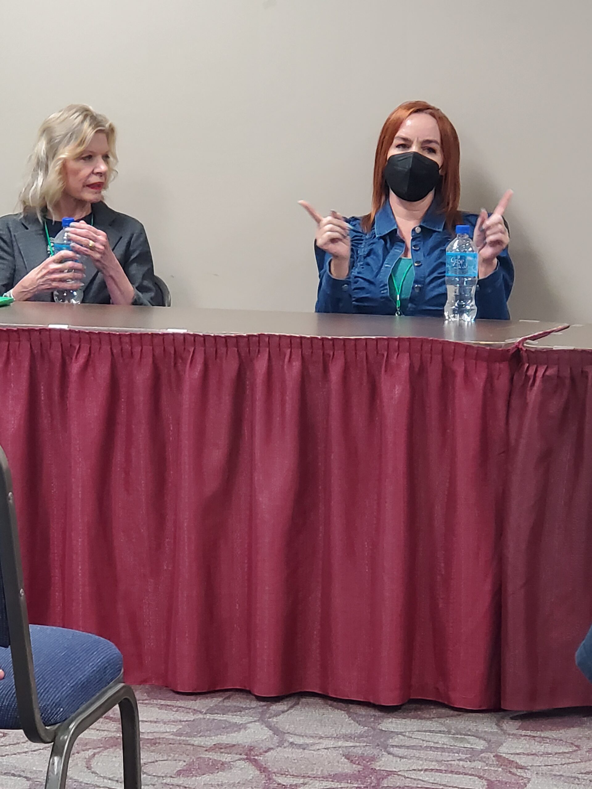 Panel- Women of Voice Acting- Oz-Con - Geeky KOOL